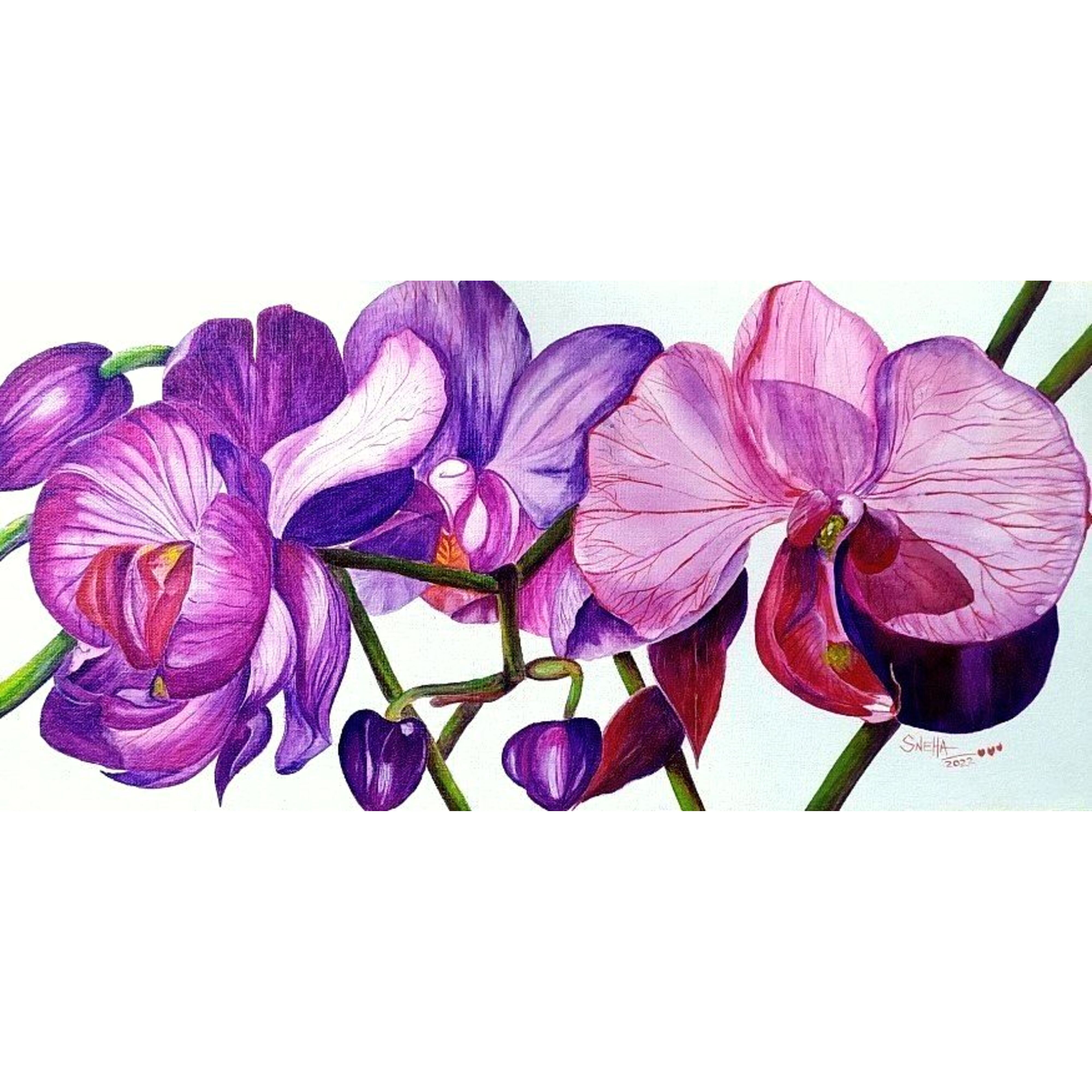 Orchid Flowers Canvas Painting by Artist Snehaprava Maharana